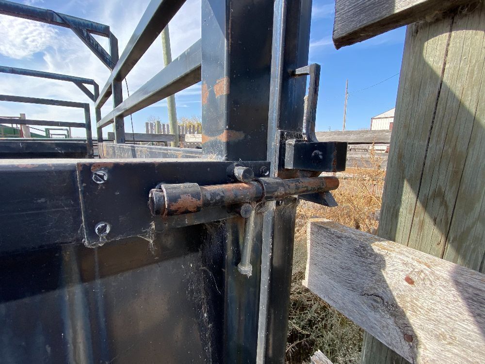 14' Prairie cattle scale w/M2000 Series digital scale head (Certified ...