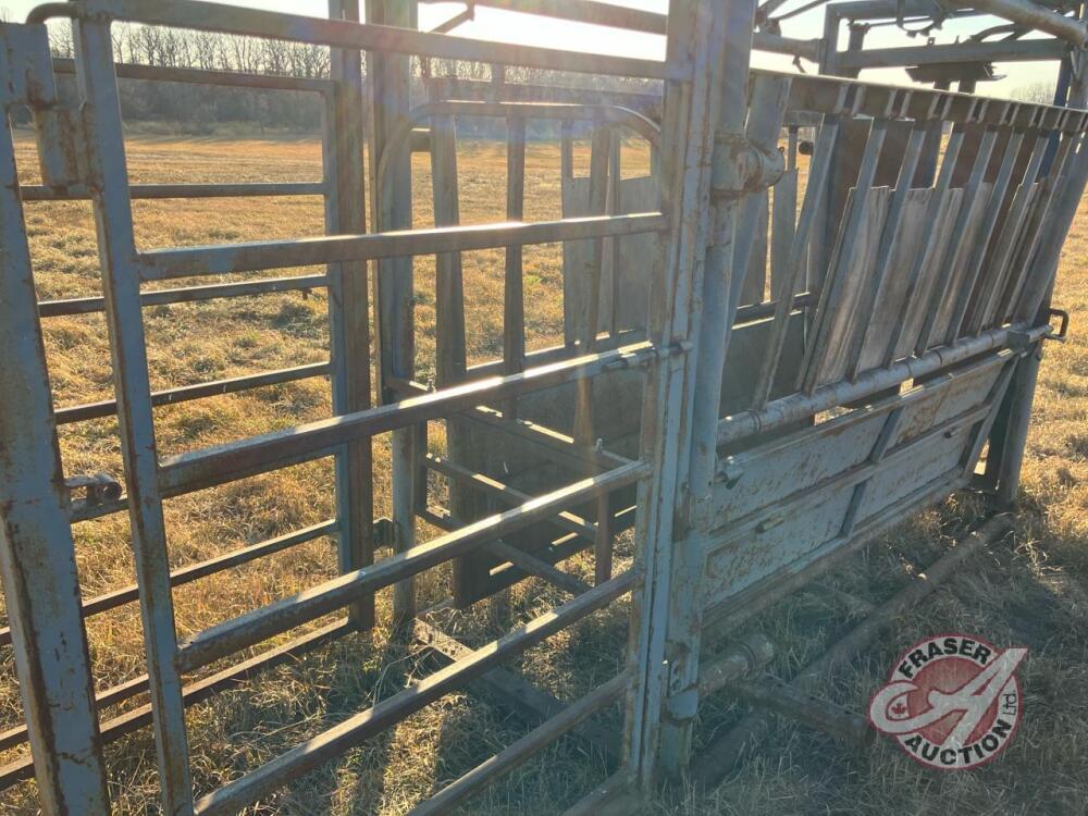 Auto-Catch headgate w/ Squeeze Chute and palp cage, K60